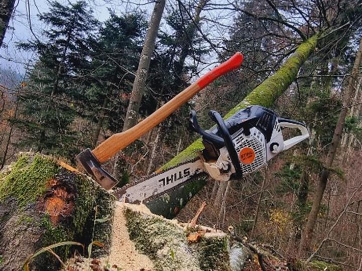 | Usluge motornom pilom | - Usluge - Burza Oglasi