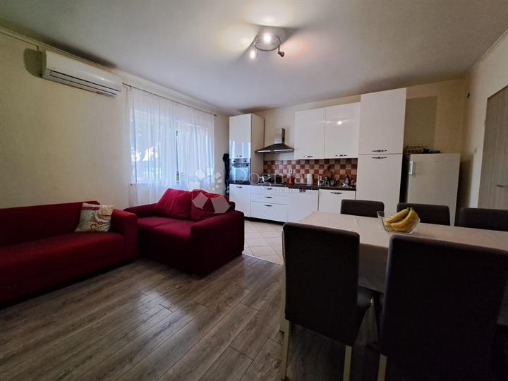 | Stan Trsat 42m2 | - Stanovi - Burza Oglasi