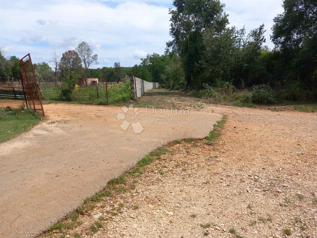 | Baderna, zemljište | - Zemljišta - Burza Oglasi