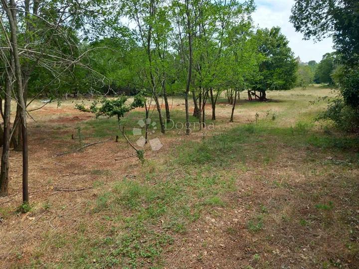 | Baderna, zemljište | - Zemljišta - Burza Oglasi