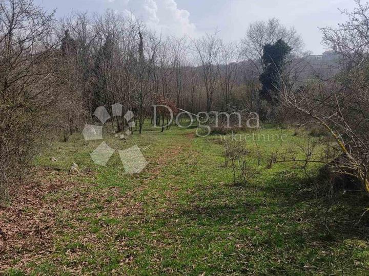 | Baderna, zemljište | - Zemljišta - Burza Oglasi